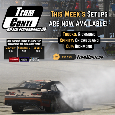 Team Conti Sim Performance (TCSP)