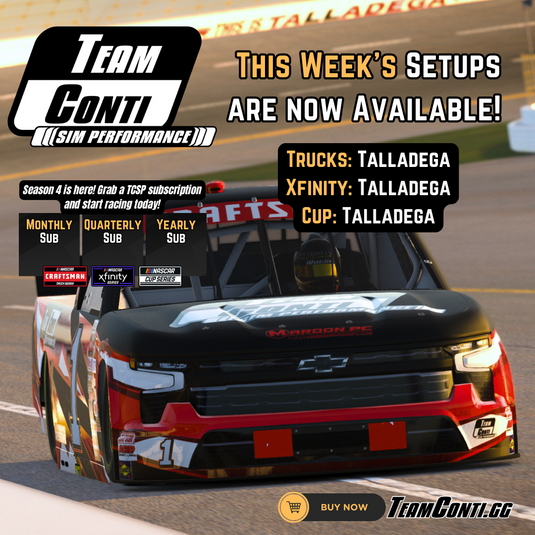 Team Conti Sim Performance (TCSP)