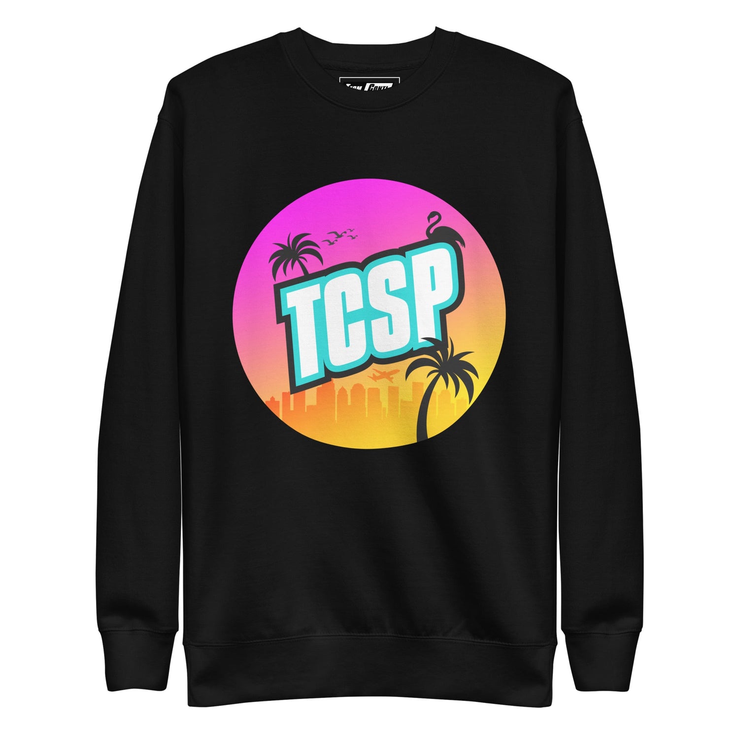 Team Conti Sim Performance (TCSP)